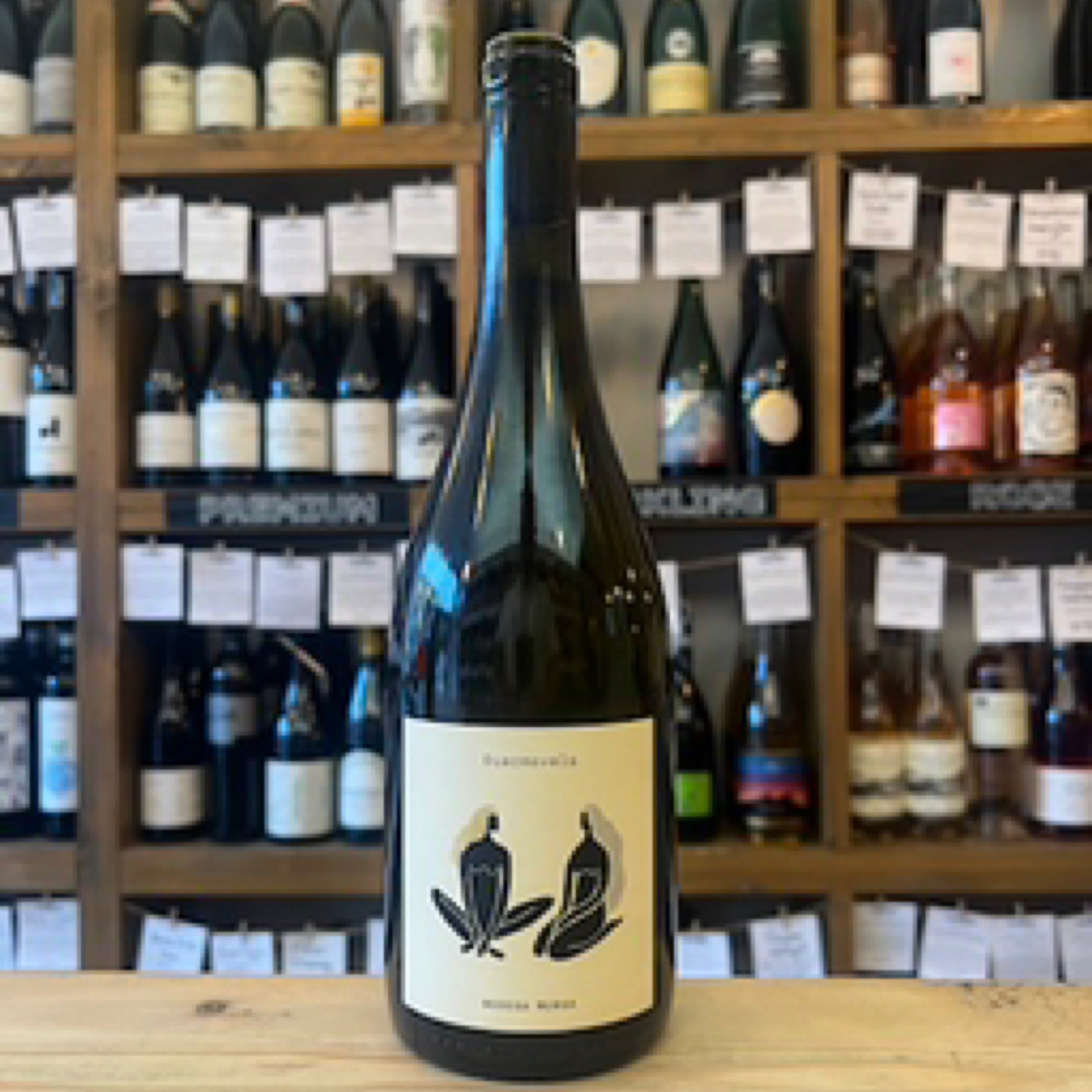Bodega Murga Duermevela Valle de Pisco Peru | Vino Vero
